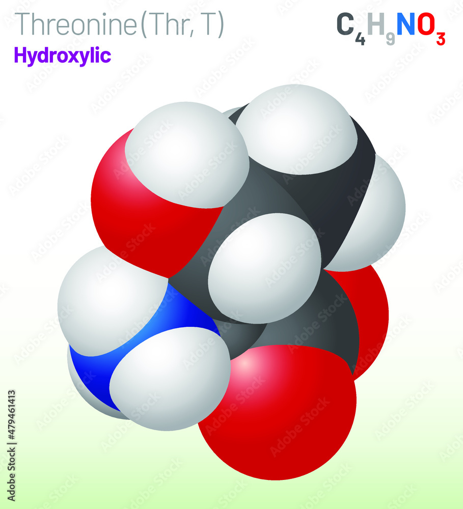 Threonine (Thr, T) amino acid molecule. (Chemical formula C4H9NO3) Ball ...