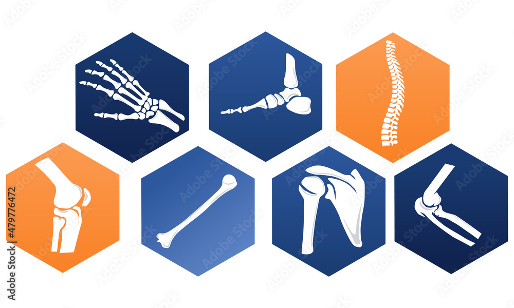 Bone set for Orthopedics traumatology with the anatomy of the bone ...
