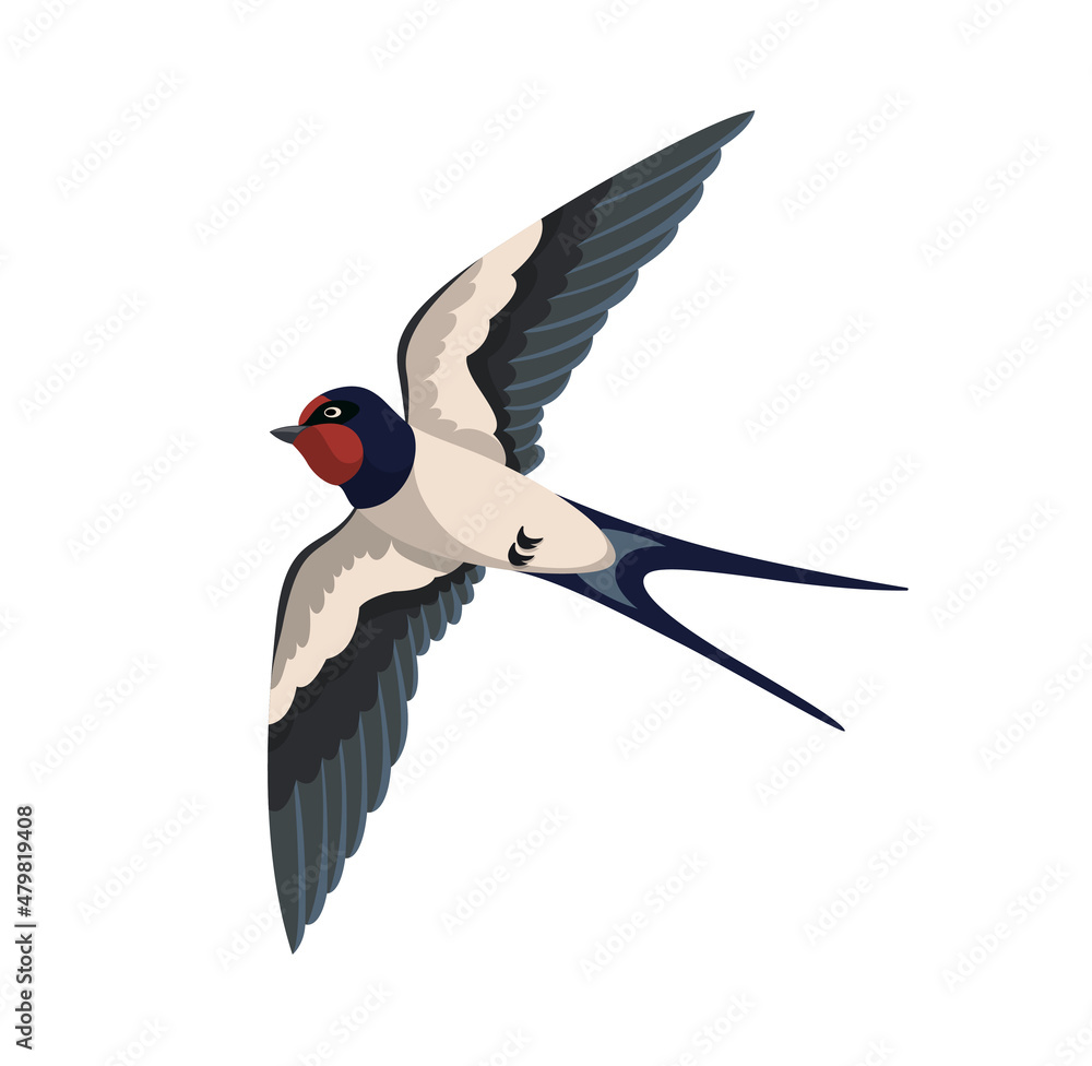 Cute swallow concept. Sticker with beautiful bird soaring in sky with ...