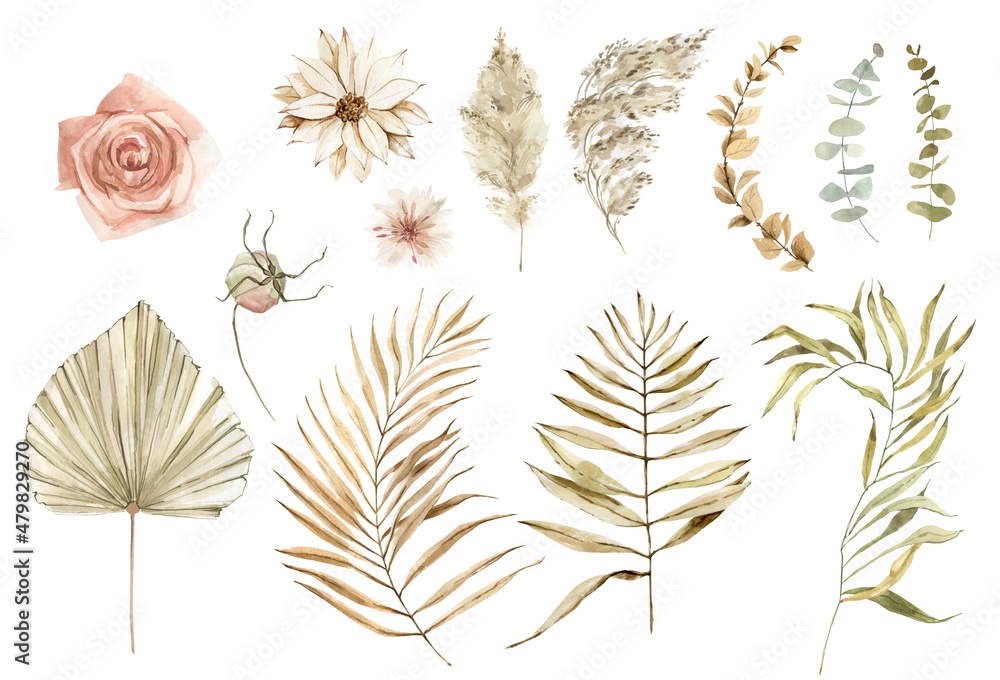 Watercolor boho flowers and leaves clipart. Dry palm branches, dried ...