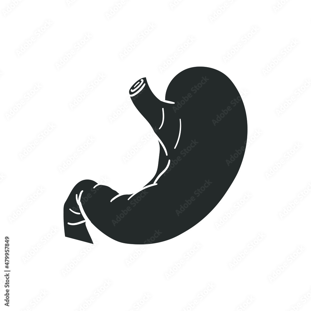 Stomach Icon Silhouette Illustration. Anatomy Digestion Vector Graphic ...