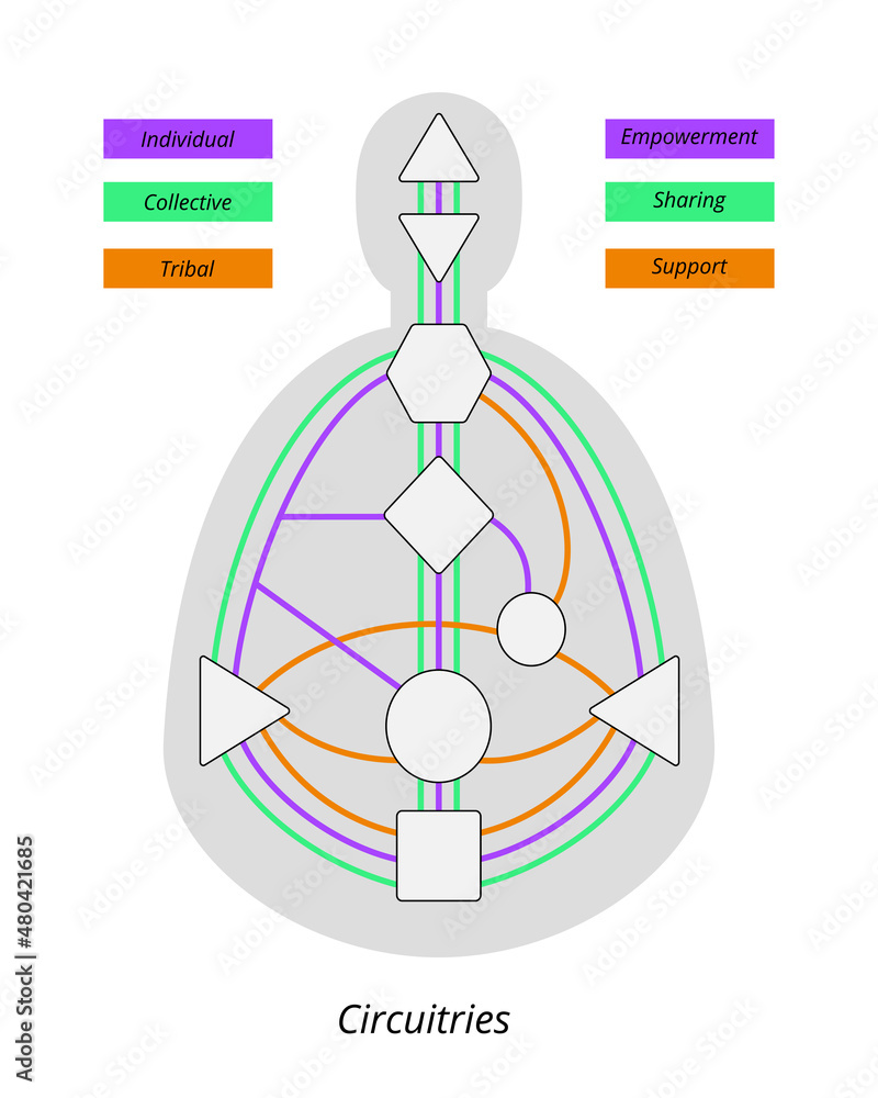 Human design bodygraph with circuitries. Human design rave chart vector ...
