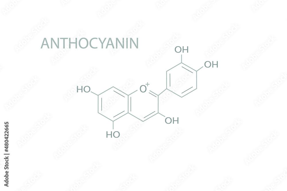 Anthocyanin molecular skeletal chemical formula. Stock Vector | Adobe Stock