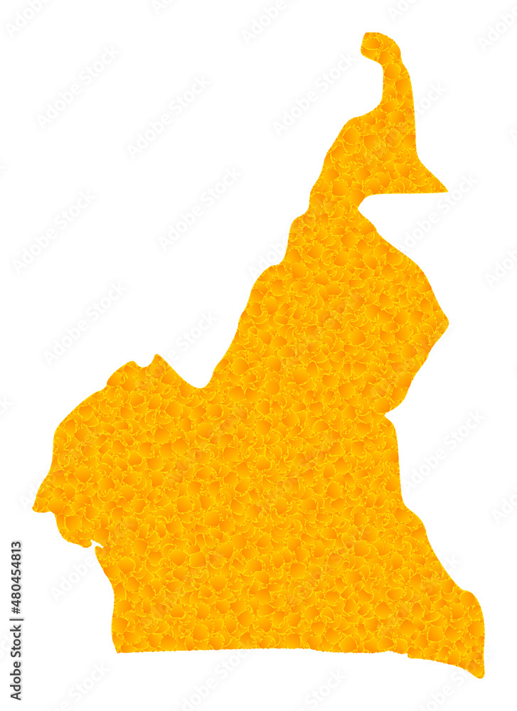 Vector Golden map of Cameroon. Map of Cameroon is isolated on a white ...