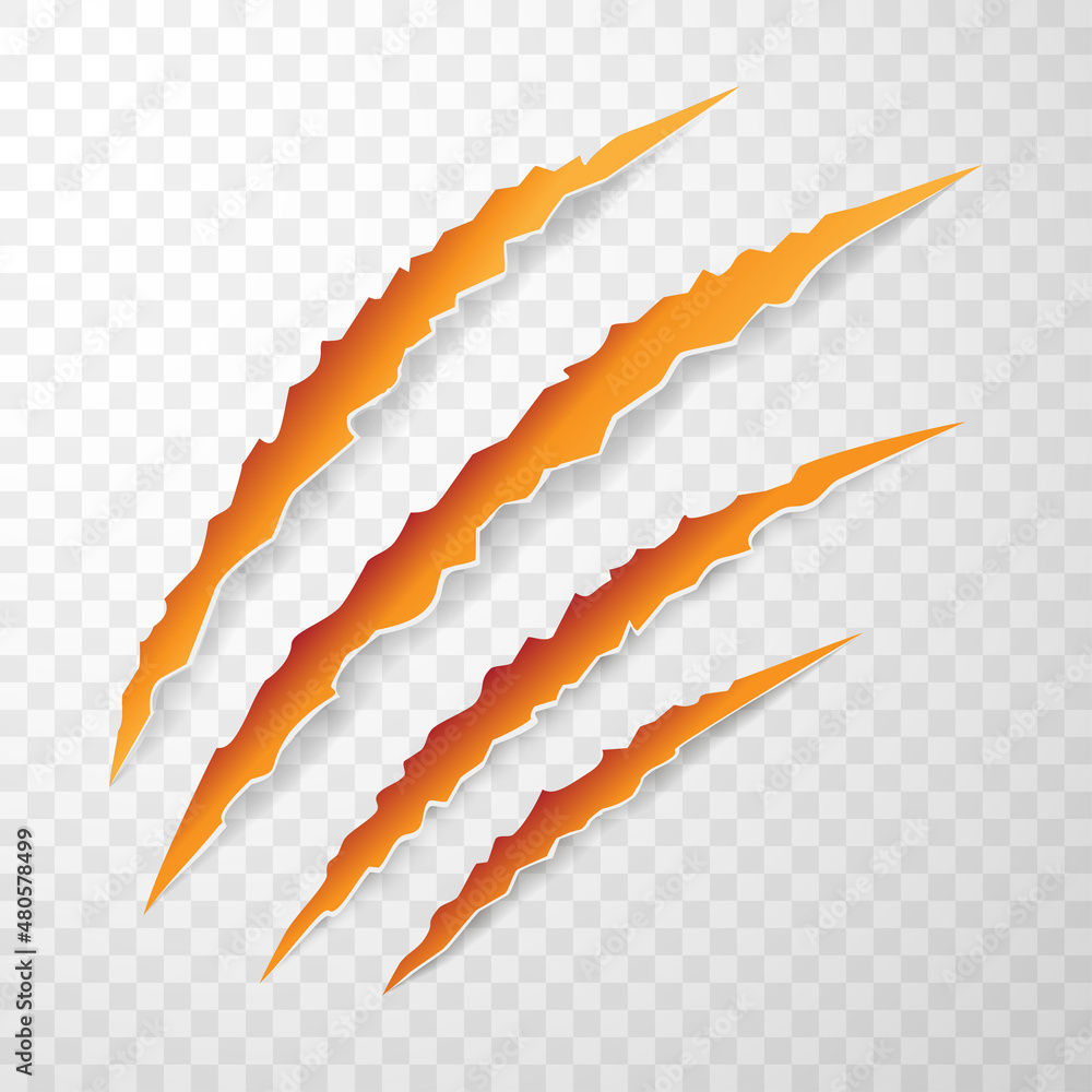 Orange color of animal claw marks, scratches, talons cuts cat, tiger ...