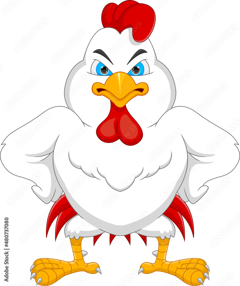 angry chicken cartoon on white background Stock Vector | Adobe Stock