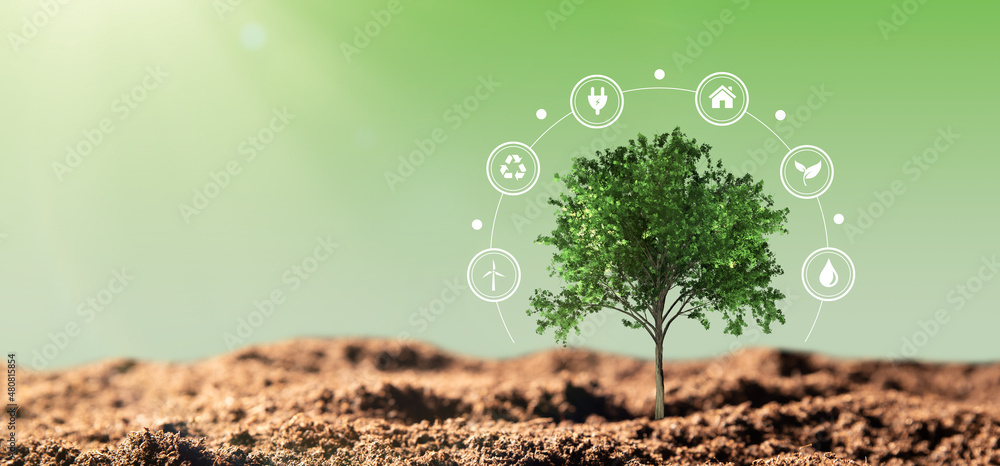 Renewable energy, ecology concept with tree Stock Photo | Adobe Stock