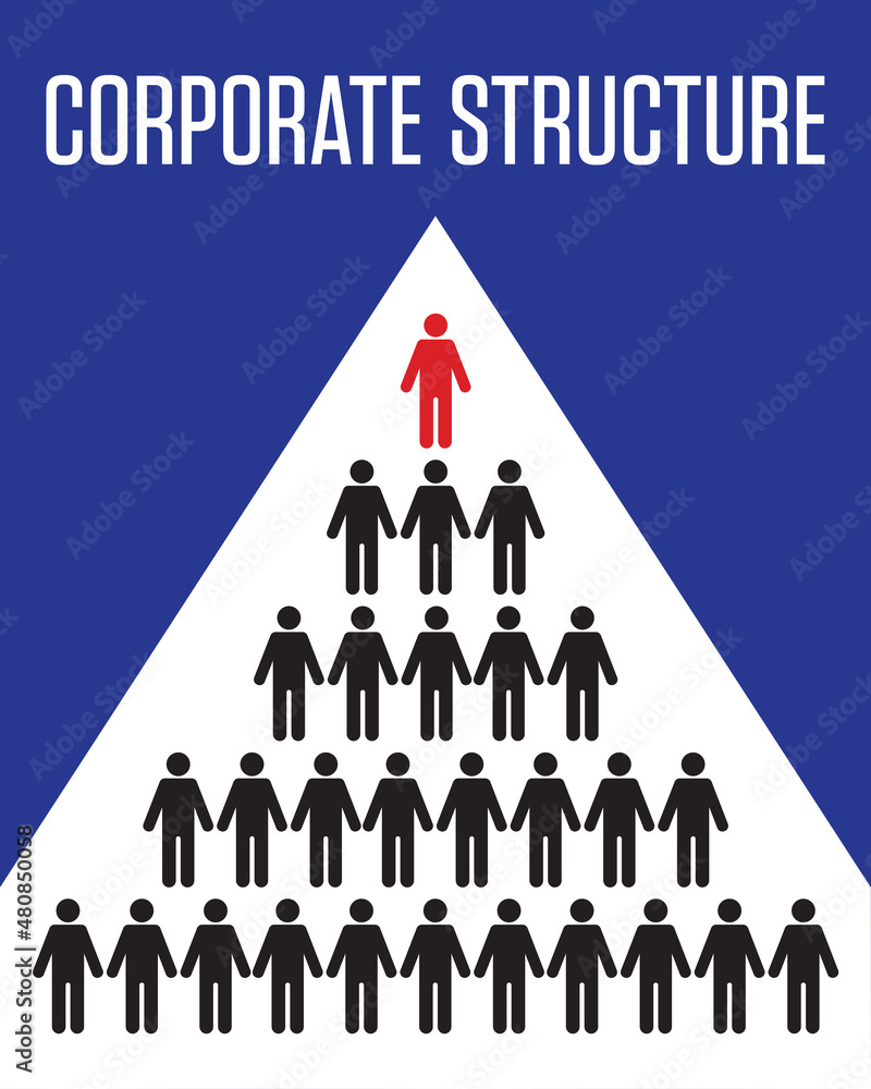 Business chart showing corporate structure of company. Vector ...