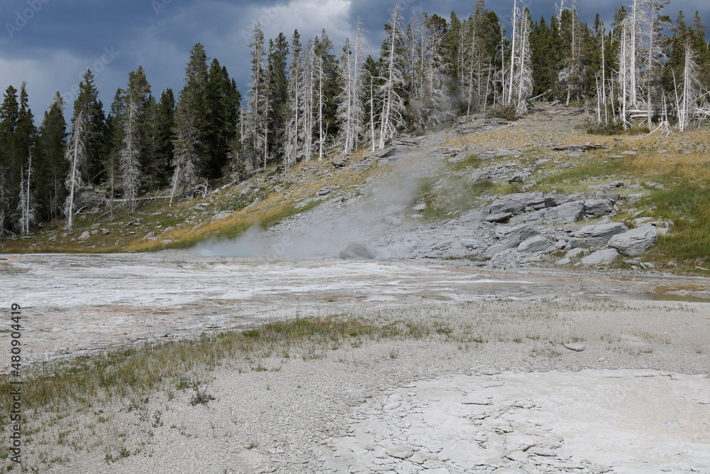 Yellowstone National Park. Portion of landscape of Yellowstone National ...