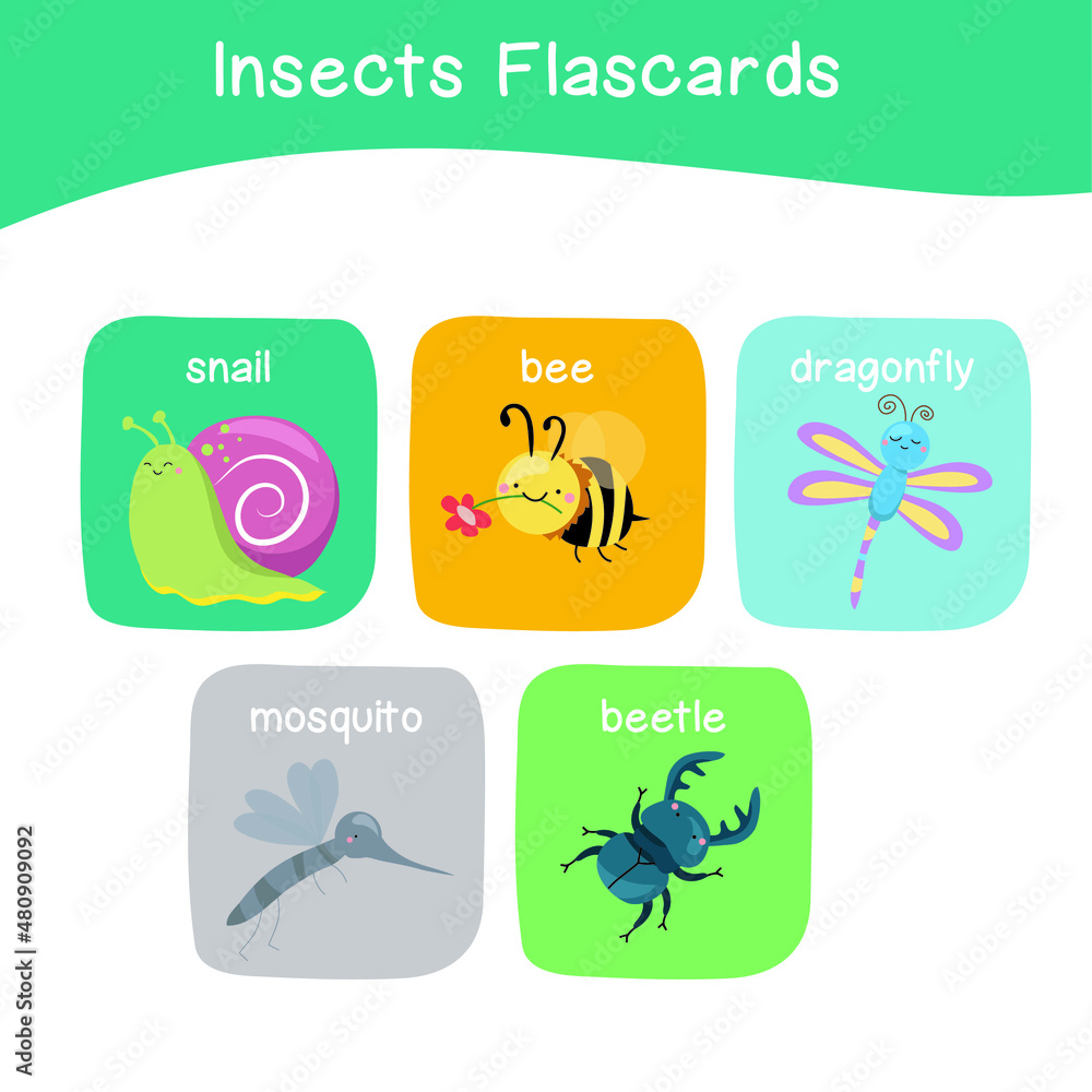 Insects Game Flashcards for Preschool Children. Cute flashcards for ...
