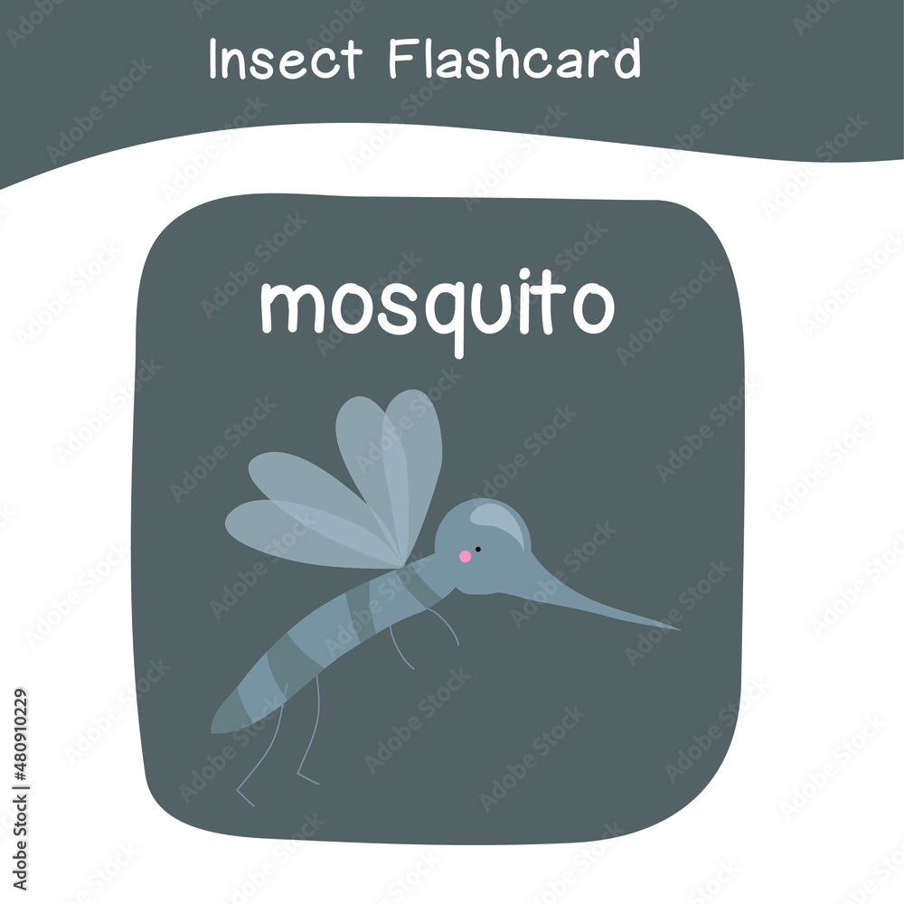 Insect name and cute cartoon image flashcard. Cute flashcards for ...