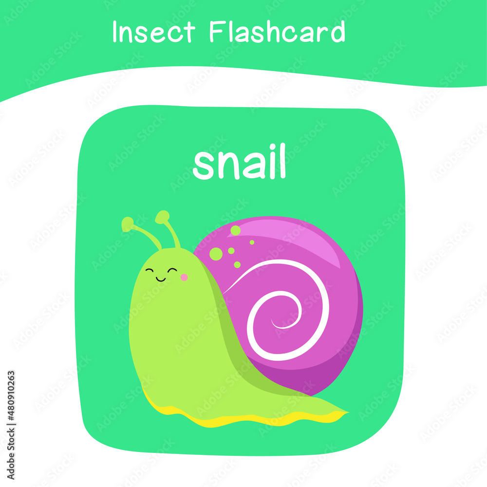 Insect name and cute cartoon image flashcard. Cute flashcards for ...