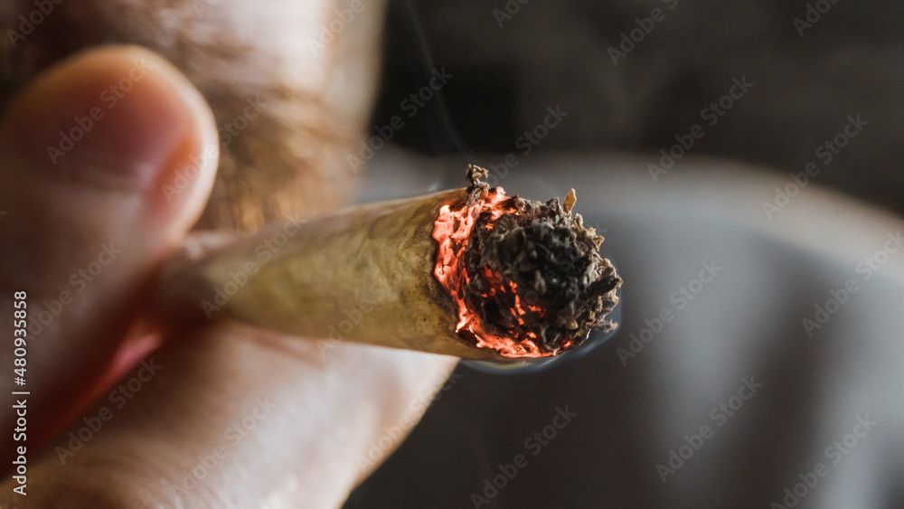 Smoking marijuana joint. Cannabis cigarette burning and a smoke cloud. Stock Photo | Adobe Stock