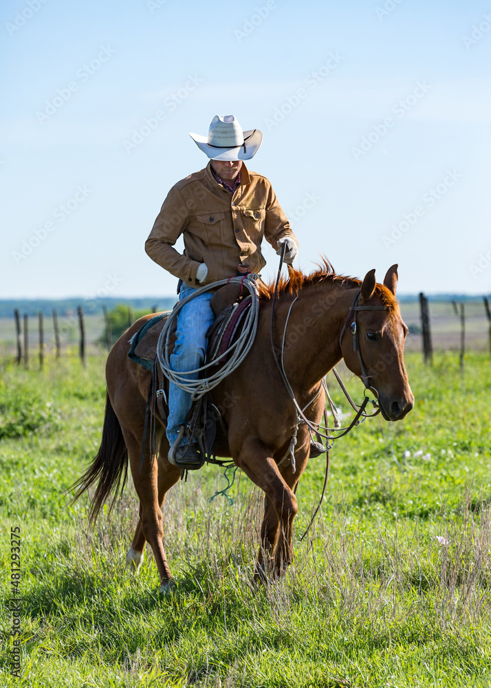 cowboy riding horse in pasture on the ranch Stock Photo | Adobe Stock
