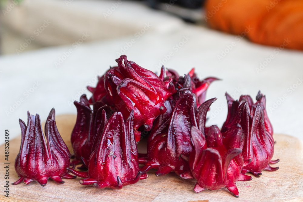 Photo Stock Roselle red subshrub plant (Hibiscus sabdariffa). Tropical ...