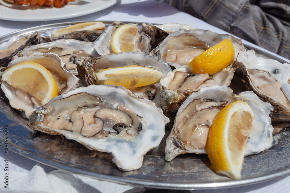 typical dishes cuisines in the South African and Namibian oysters ...