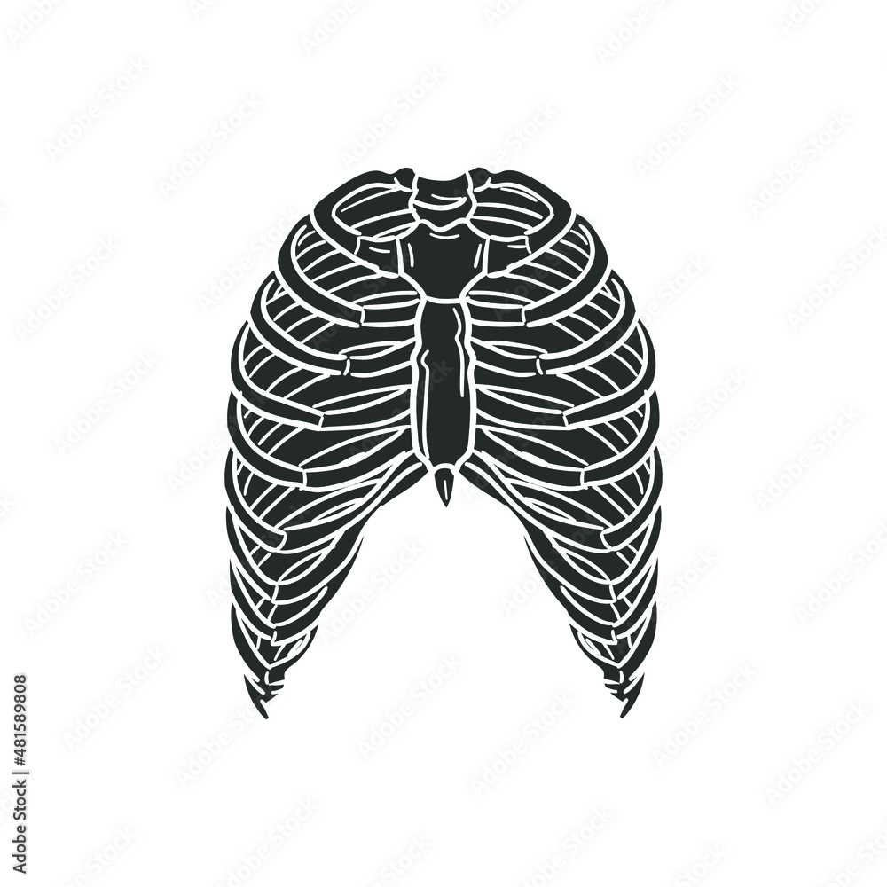 Ribs Bones Icon Silhouette Illustration. Thorax Skeleton Body Vector ...