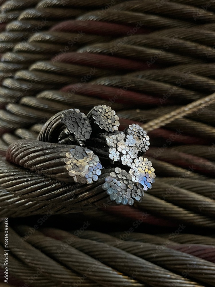 Steel wire rope cross section. Stock Photo | Adobe Stock