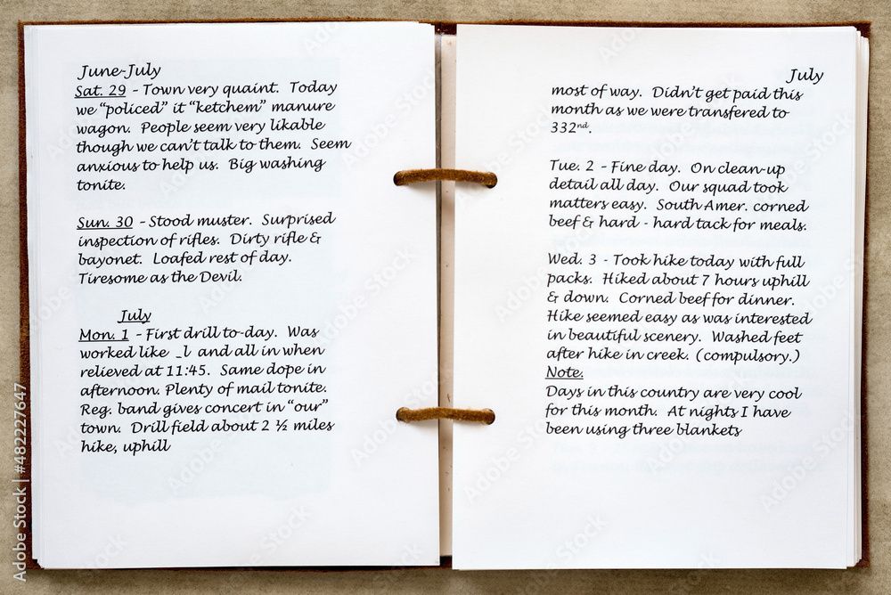 World War One Soldier`s Diary Pages, 10 of 47. Diary entries of a WWI ...