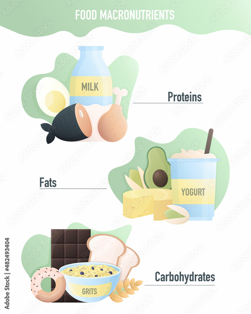 Nutritional macronutrients. Fat, carbohydrate and protein food groups ...