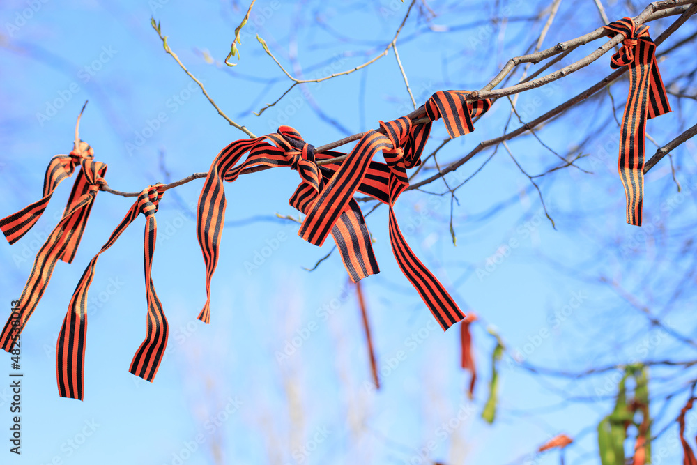 St. George ribbon tied on a tree branch, symbol of Victory Day, memory ...