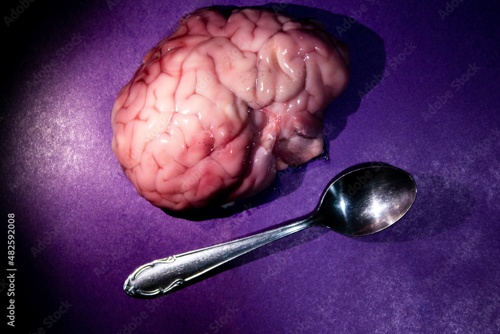 Raw bloody brain lies on a dark purple background next to a teaspoon ...