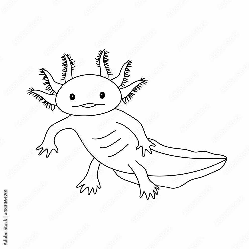 Vector illustration of cute axolotl salamander isolated on white ...