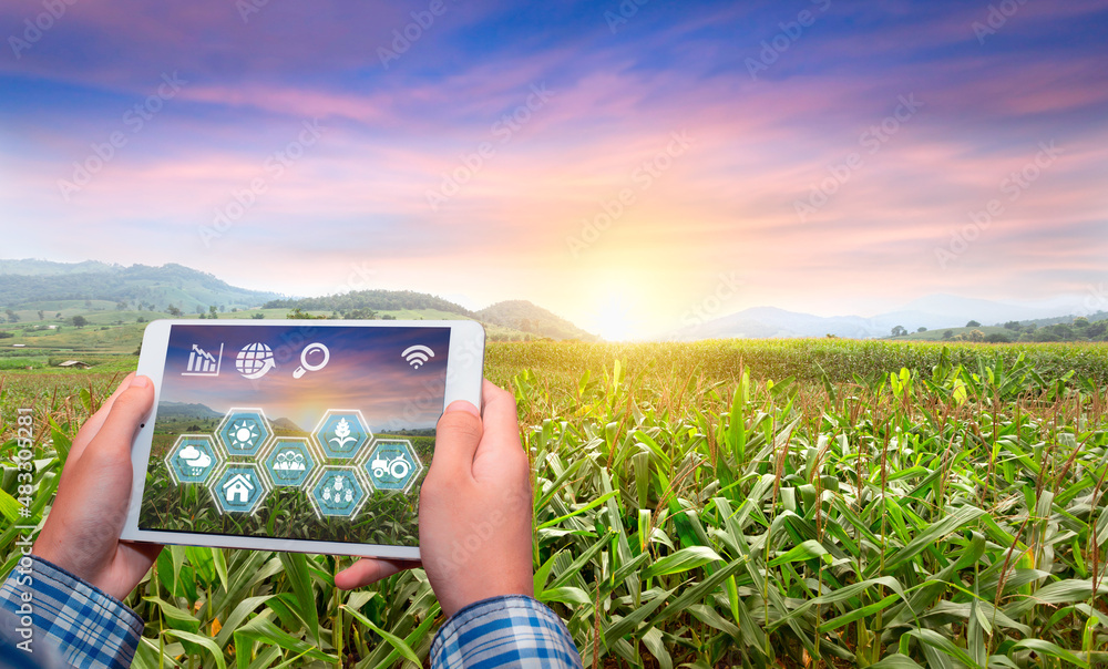 Innovation technology for smart farm system, Agriculture management ...