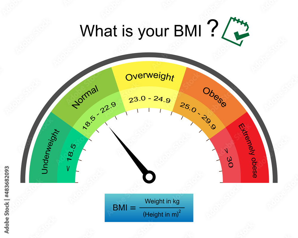 Adult body mass index range infographic inspeedometer with weight ...