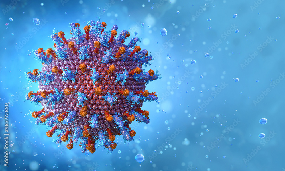 Hepatitis B virus cell model. Structure of the hepatitis B infection virion: lipid envelope ...