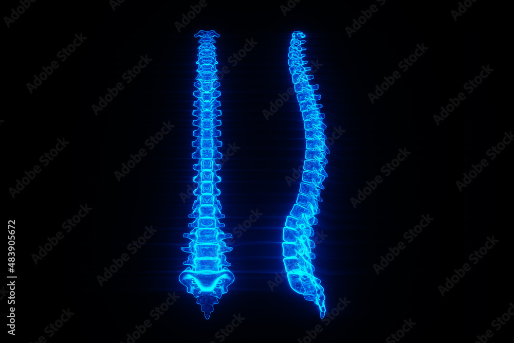 Medical poster anatomy of the human spine, the image of the bones ...