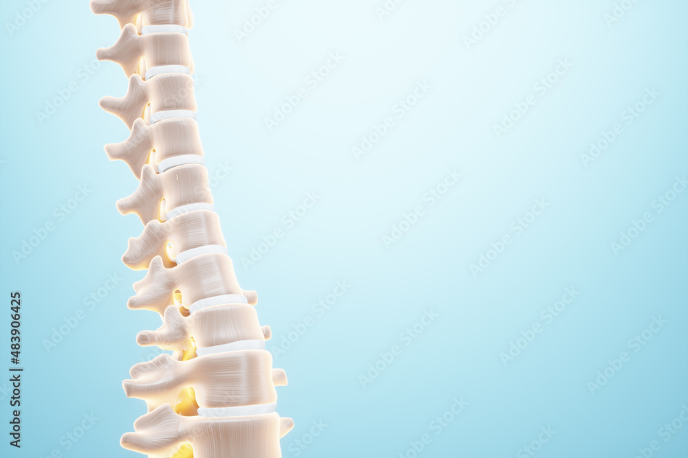 Medical poster anatomy of the human spine, the image of the bones ...