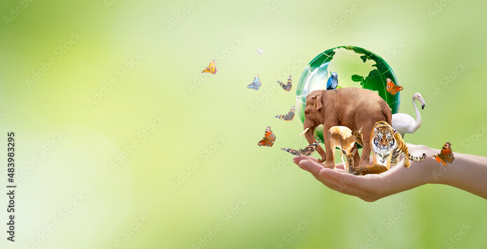 Earth Day or World Wildlife Day concept. Save our planet, protect green ...