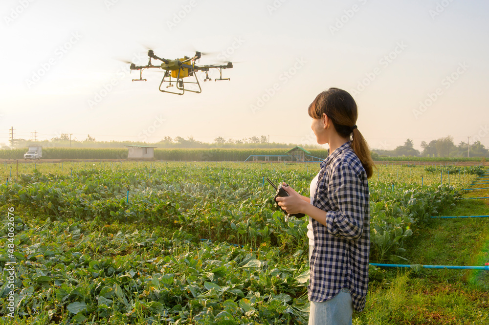 Young smart farmer controlling drone spraying fertilizer and pesticide ...