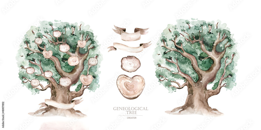Watercolor Genealogical Family tree. Watercolor children's tree ...