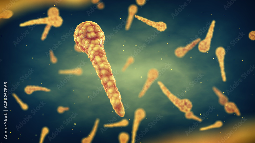 Tetanus is an infectious disease caused by the pathogenic bacterium ...