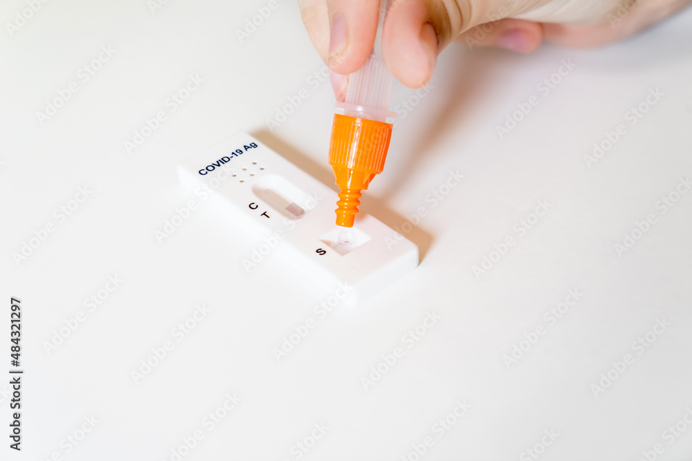Covid-19 rapid antigen test cassette and tube. Rapid diagnostic test in ...