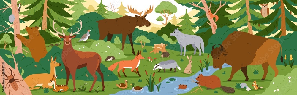 Forest animals in wild nature. Environment landscape with trees and ...