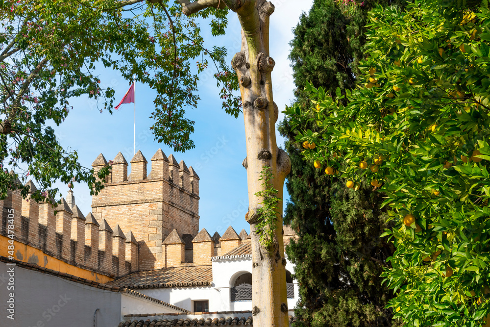 View of one of the towers and orange trees from the Patio de Banderas ...