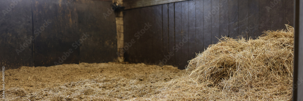 Empty stall in the stable with hay closeup Stock Photo | Adobe Stock