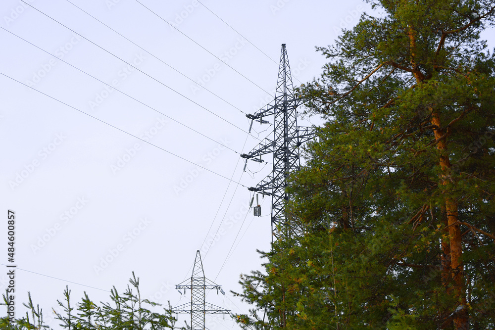 Metal support for high voltage power lines in a pine forest. Power ...