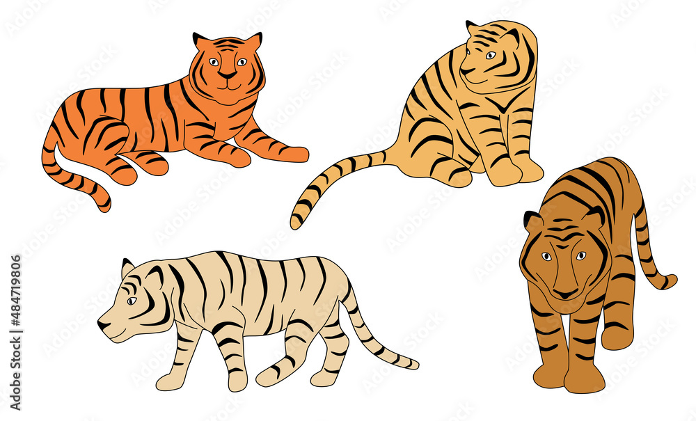 Tiger vector set. Cartoon Tiger characters design collection with flat ...