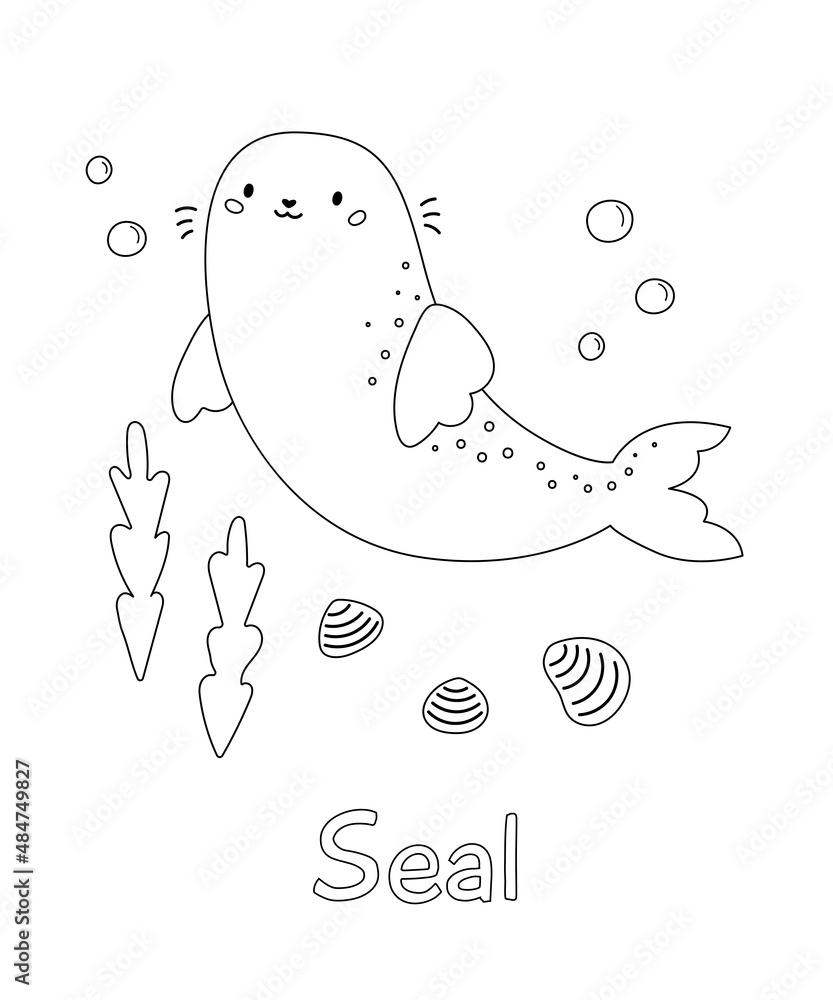 Coloring page with cute seal. Cartoon arctic sea animal. Learn english ...