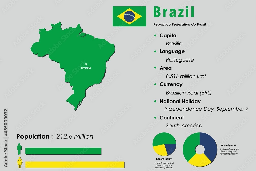 Brazil infographic vector illustration complemented with accurate ...