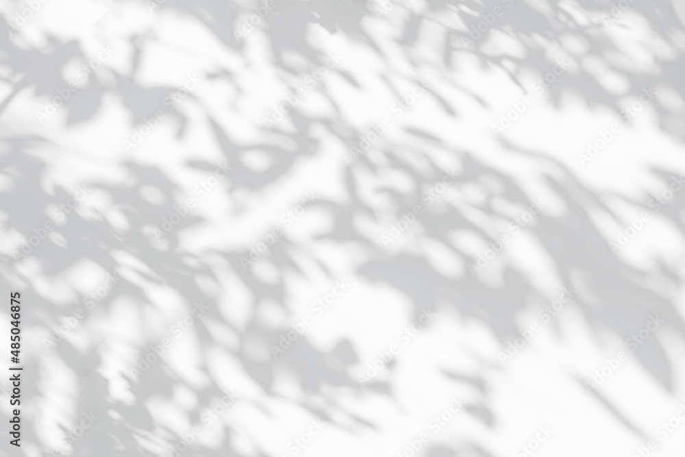 leaf shadow texture png