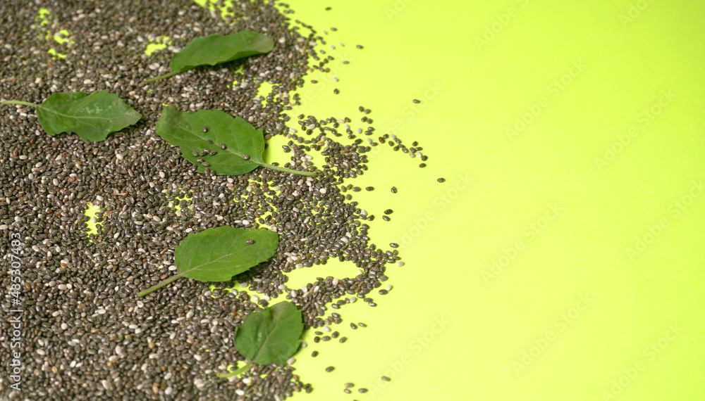 Holy basil, tulasi or tulsi, is an aromatic perennial plant in the ...