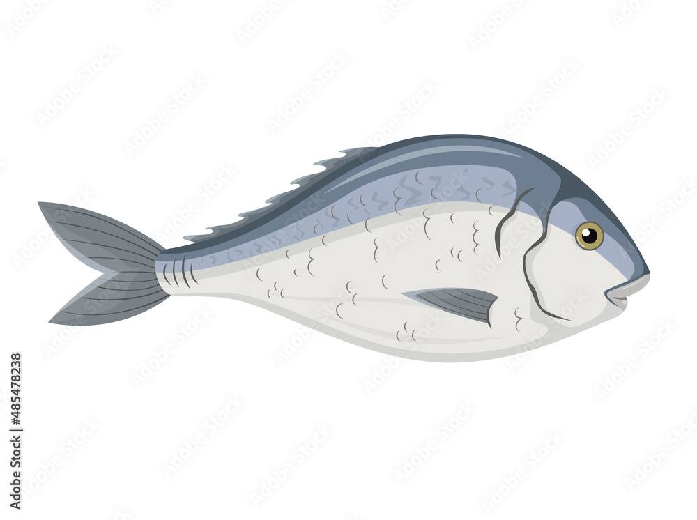 Dorado, illustration of a marine animal in cartoon style, fish Stock ...