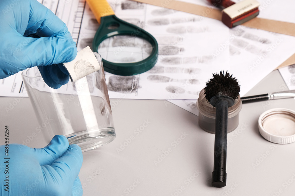 Forensic fingerprint analysis, criminalist collects latent fingerprints ...