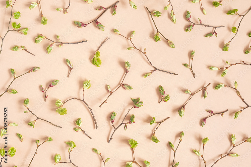 Branches with spring tree buds and young leaves on beige background ...
