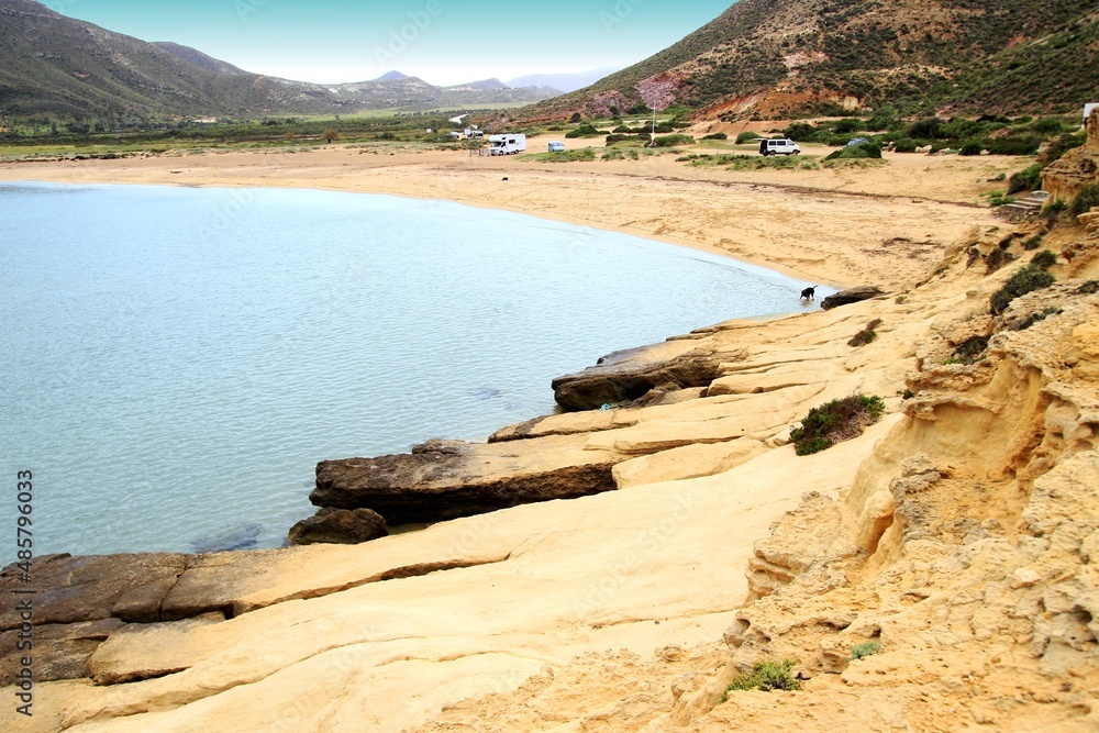 Fossils of tertiary sediments, sandstones, calcarenites and limestones ...